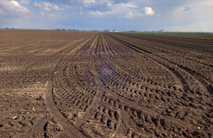 Prodajem Građevinsko Zemljište, Inđija, Srem Okolica