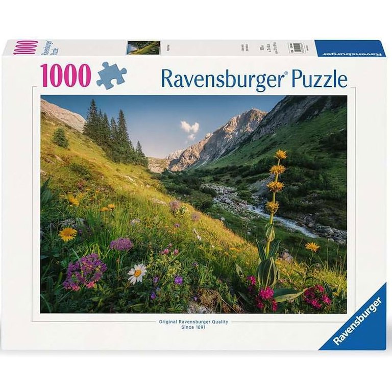 Ravensburger puzzle (slagalice) - 1000pcs Magična dolina RA12000484