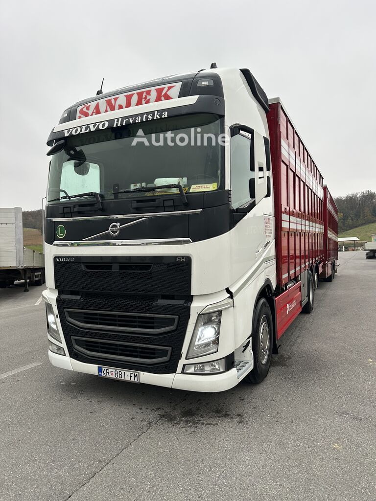Volvo FH13 500 kamion za prevoz stoke + prikolica za prevoz stoke