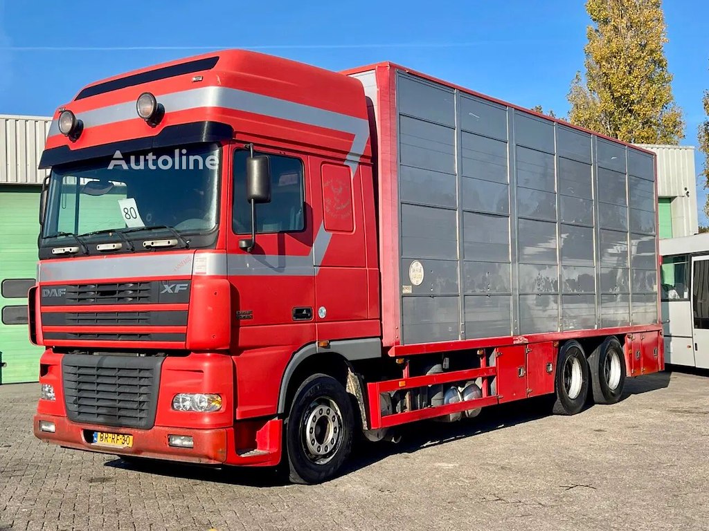 DAF XF 95.430 BERDEX 3 decks. Water, fans, Scales! Excellent conditi kamion za prevoz stoke