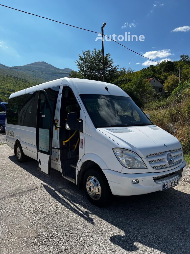 Mercedes-Benz Sprinter 516 putnički minibus