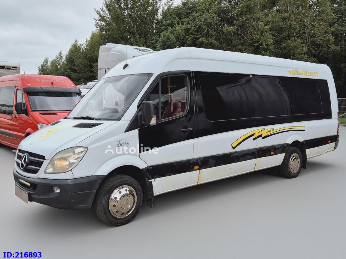 Mercedes-Benz Sprinter 516 putnički minibus