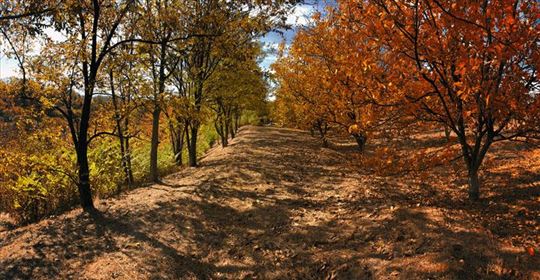Zuce - izvor Točak - pored Ikee