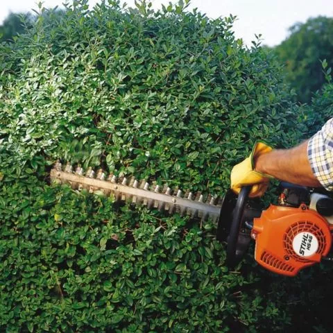 STIHL HS 45 – MAKAZE ZA ŽIVU OGRADU