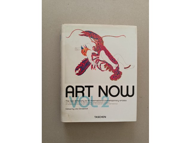 Art Now Vol 2 - Uta Grosenick, Taschen