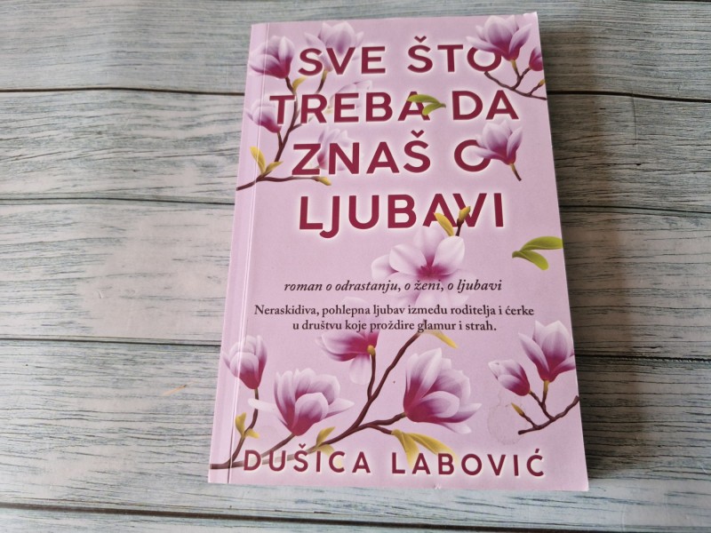 SVE ŠTO TREBA DA ZNAŠ O LJUBAVI - DUŠICA LABOVIĆ
