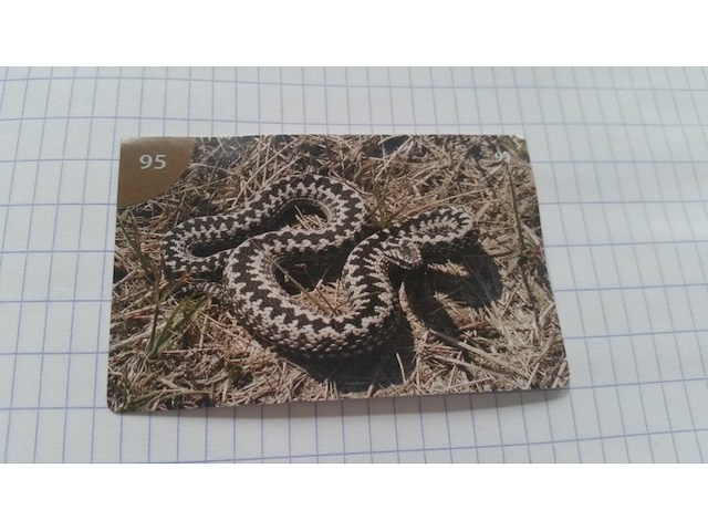 ZIVOTINJSKO CARSTVO 2008 broj 95