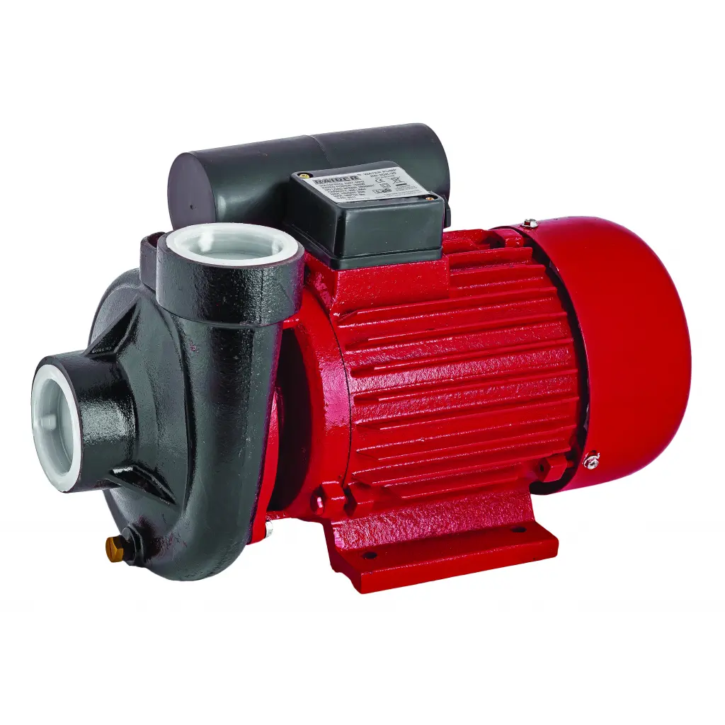 Raider Vodena pumpa RD-2DK20, 1500W