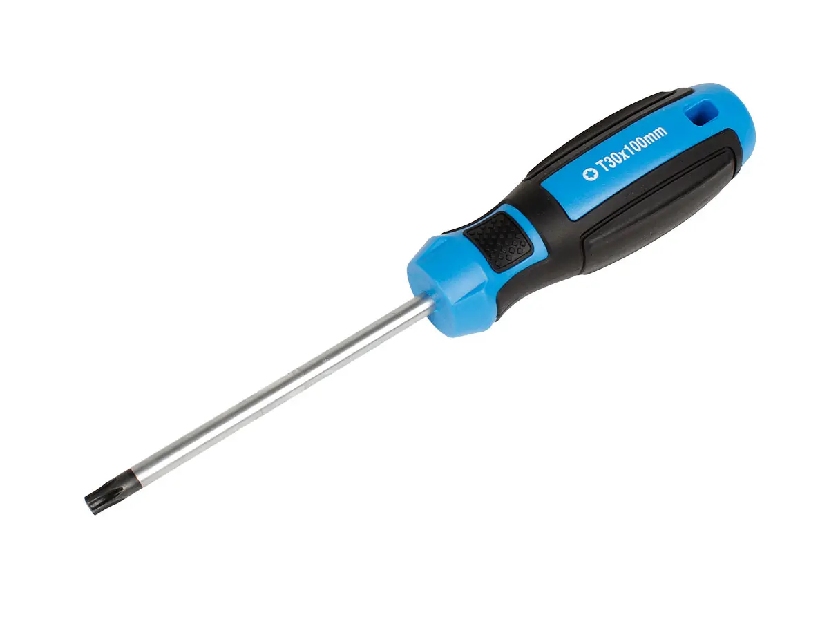 WOMAX PRO Odvijač torx t30 6x100mm