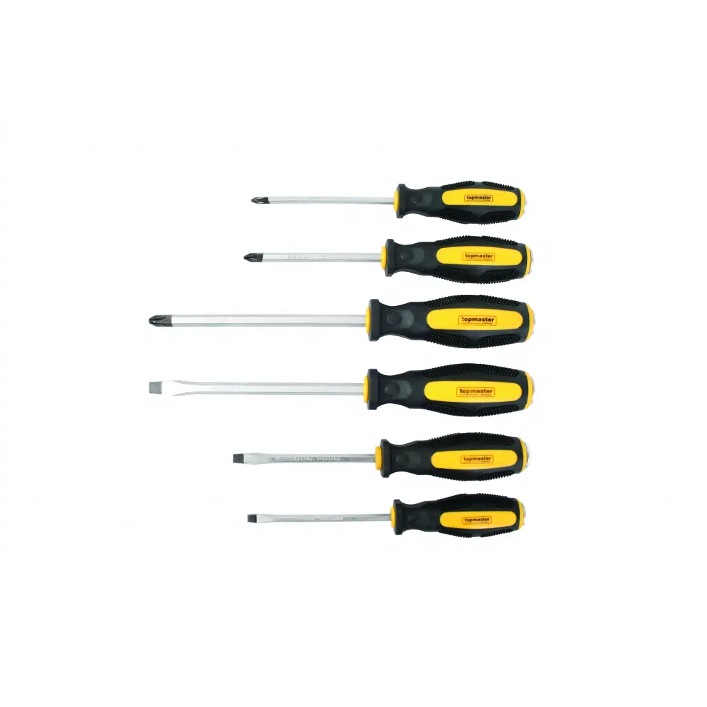 Topmaster Odvijač TMP komplet Ravni I Zvezdasti 225102, 6 komada