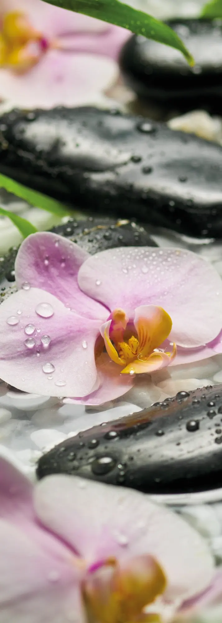 KOMAR Foto tapet 318-DV1, 100x280cm