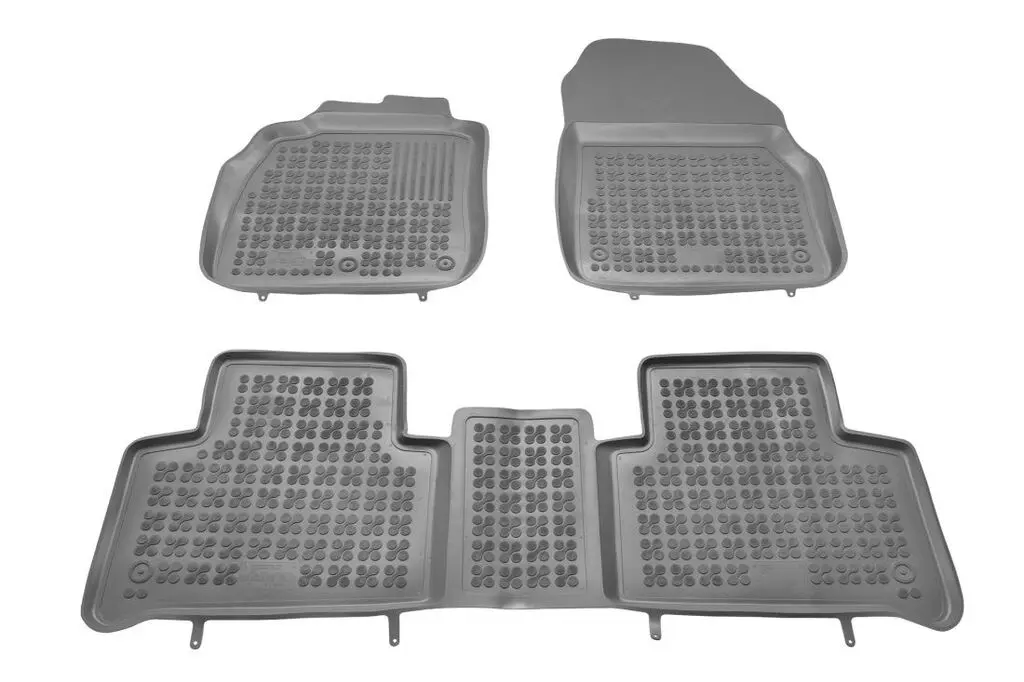 Rezaw-Plast Tipske patosnice za RENAULT Scenic 2 (2003+) - Kadice