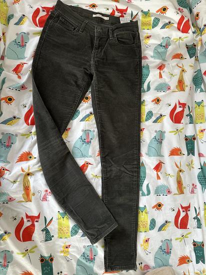 Levis somotne pantalone