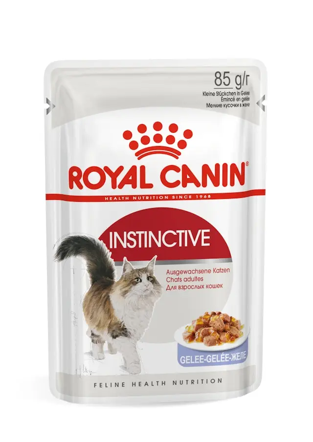 ROYAL CANIN Vlažna hrana za odrasle mačke Instinctive in Jelly 12x85g