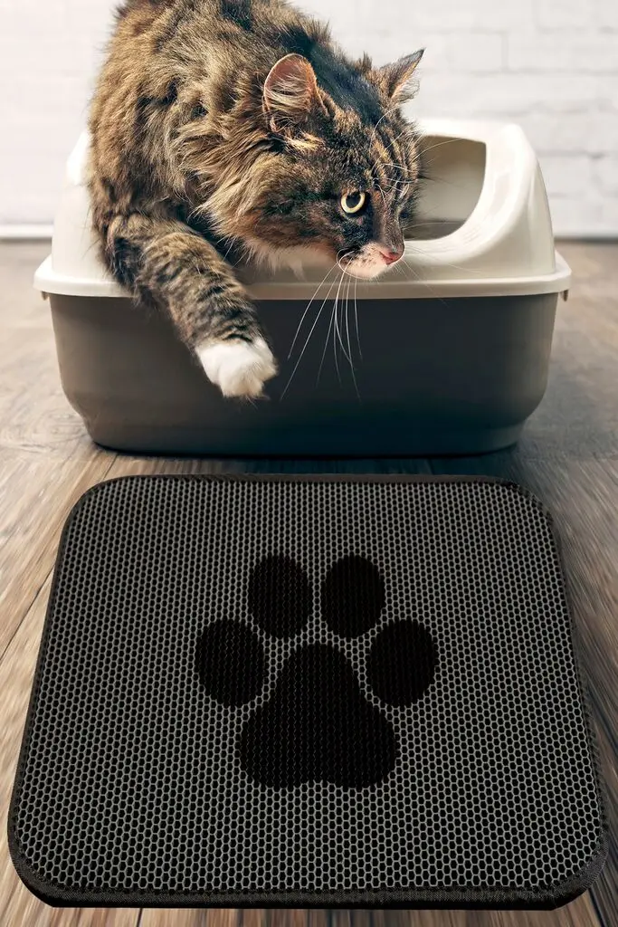 Conceptum Hypnose Prostirka za mačke Cat Paw Mat, 40x60, Siva