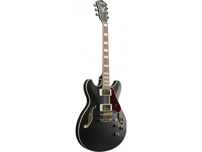Ibanez Električna gitara AS73G-BKF, Semi hollow, Black flat