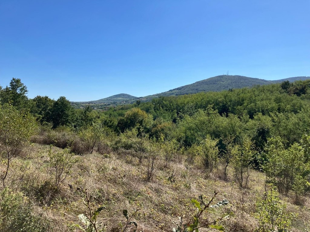 Vaše parče raja na Kosmaju! 2, 5ha, Nemenikuće. Preporuka