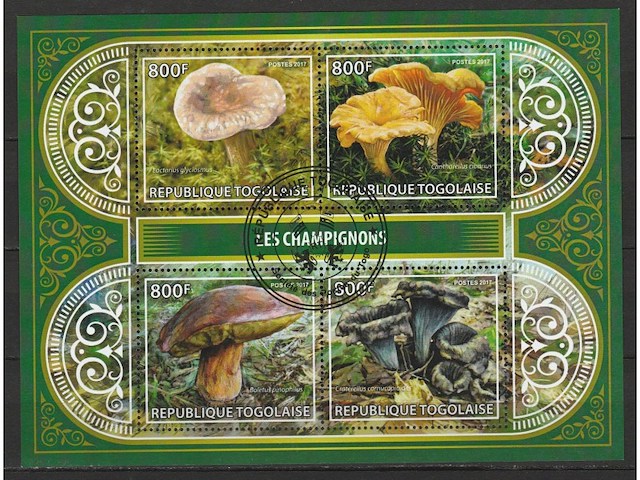 Mushrooms, pečurke, gljive, šampinjoni