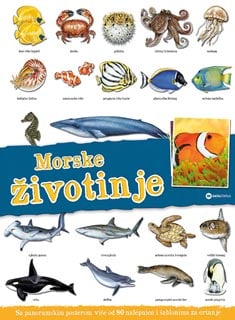 Panorama - morske životinje
