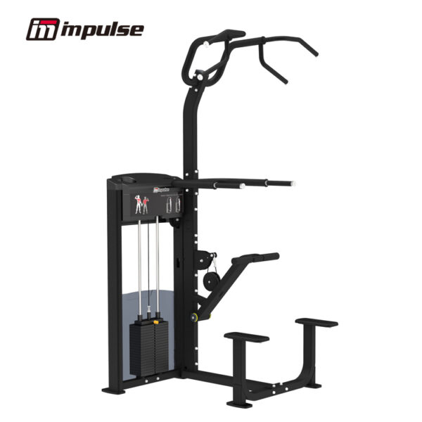 IMPULSE ASSISTED CHIN-UP and DIP IF9320