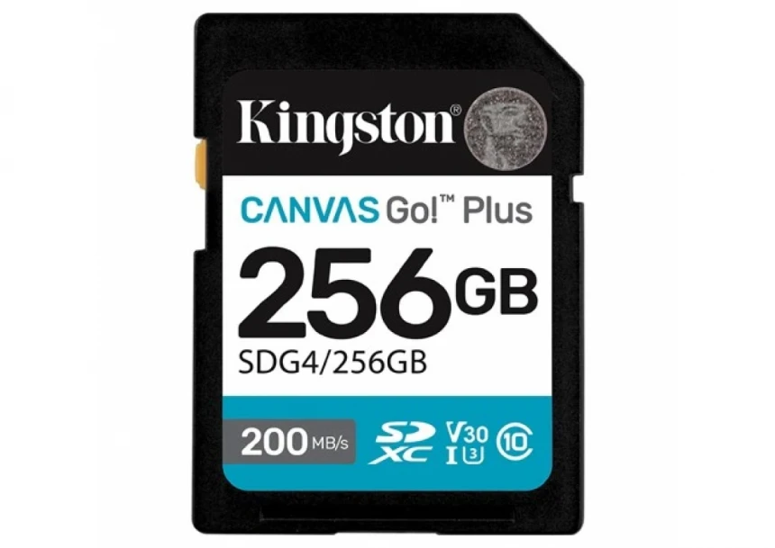 Micro SD Card 256GB Kingston SDG4/256GB class 10 200Mbs/160Mbs