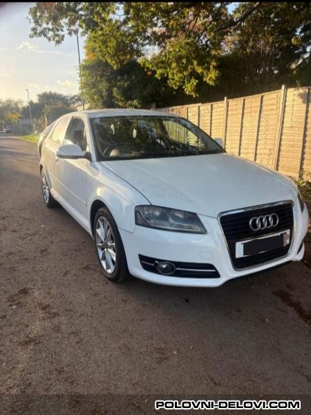 Audi A3 1.6tdi Cayc 77kw Izduvni Sistem