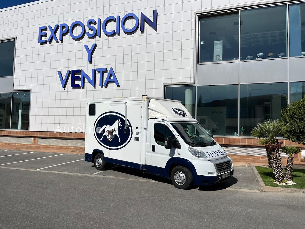 Fiat Ducato vozilo za prevoz konja