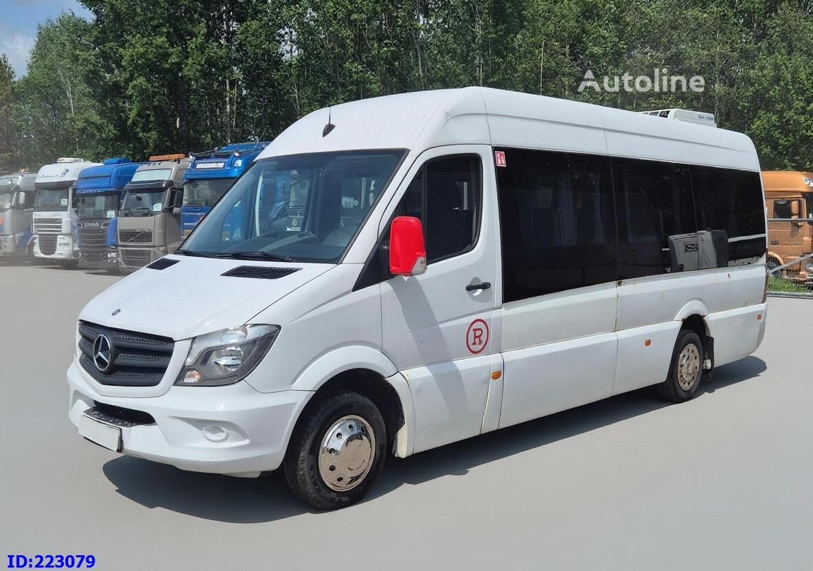 Mercedes-Benz Sprinter 516 Euro6 putnički minibus
