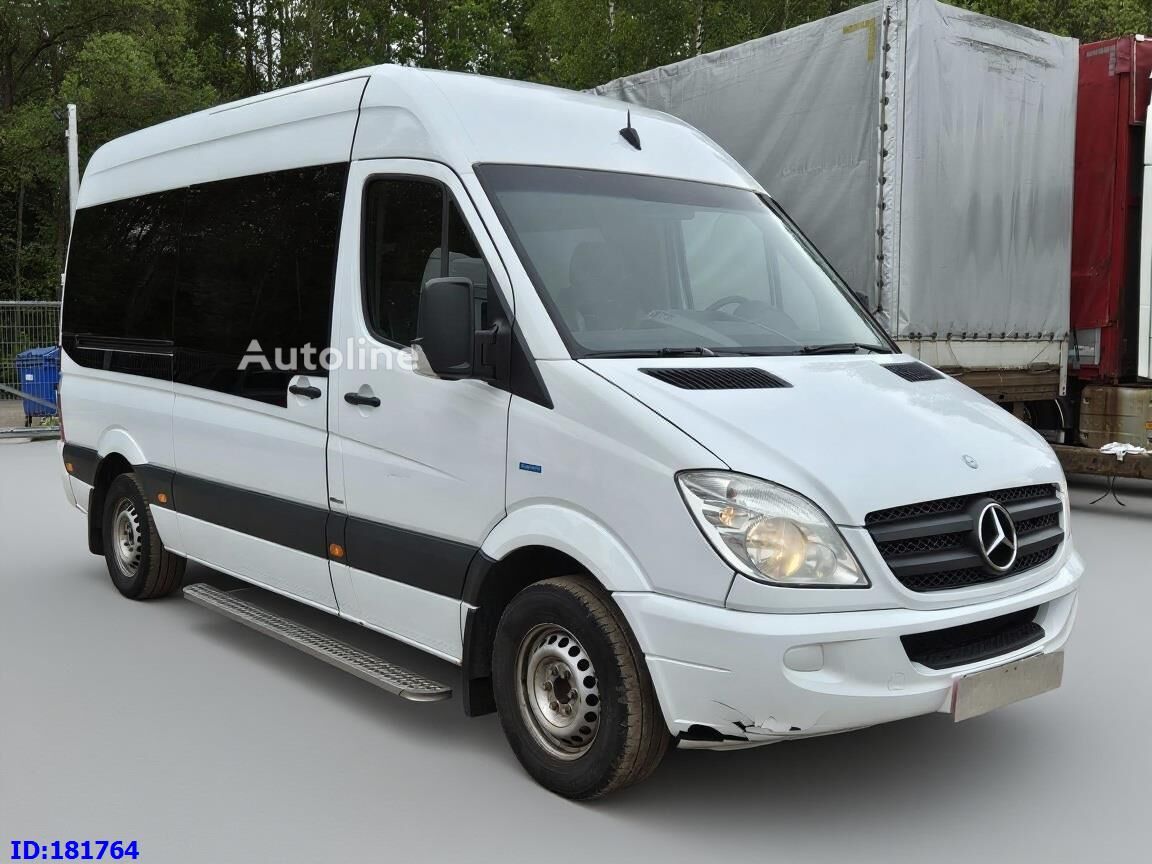 Mercedes-Benz Sprinter 316 Pegabus Euro5 ID181764 putnički minibus