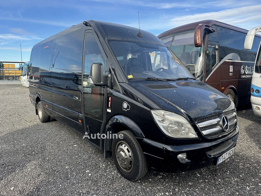 Mercedes-Benz 519 SPRINTER VIP putnički minibus