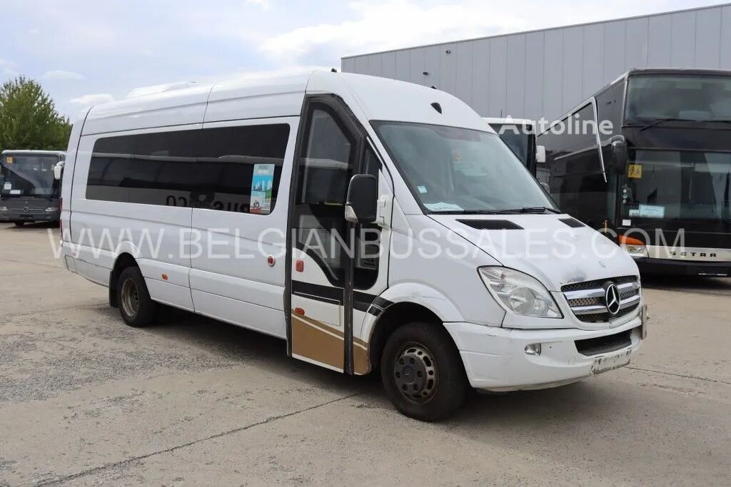 Mercedes-Benz Sprinter / Automet / 516 CDI / 19 pl putnički minibus