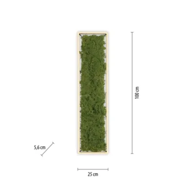 LED plafonska svetiljka sa islandskom mahovinom Green Knut PAUL NEUHAUS