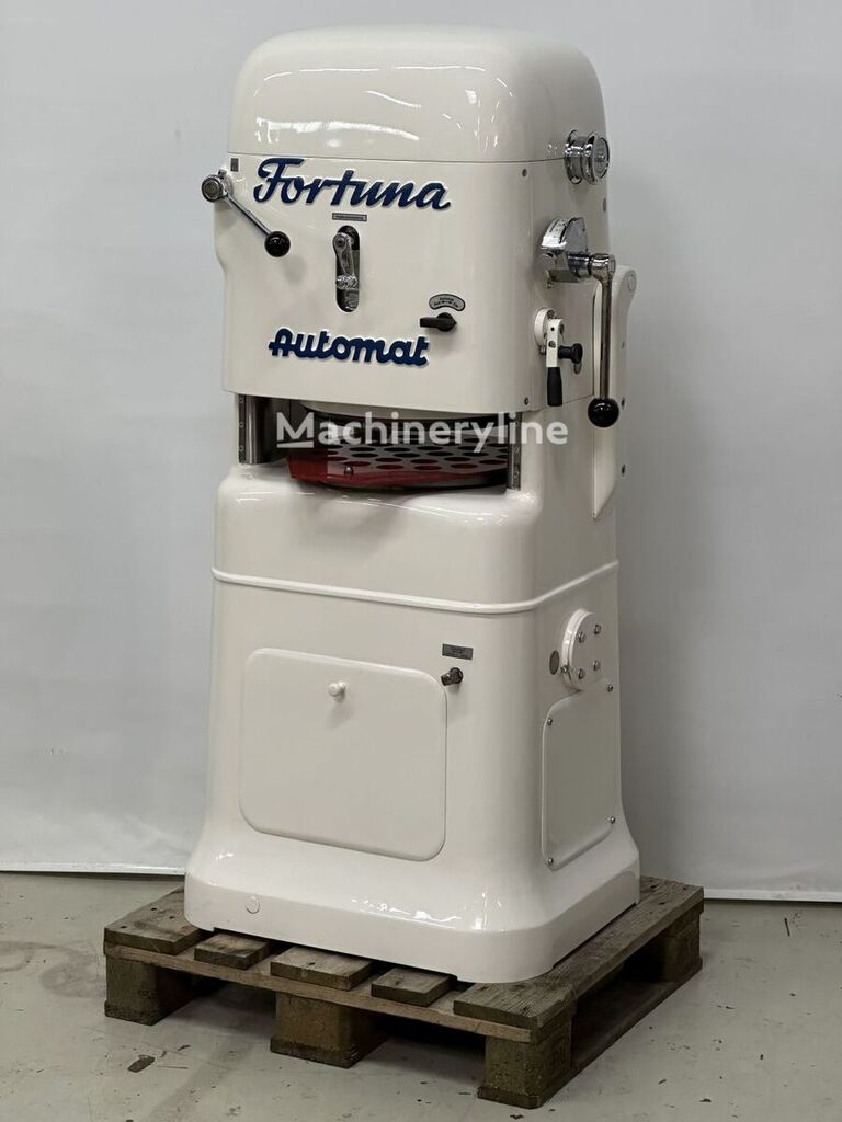 Fortuna Automat A3 delilica testa