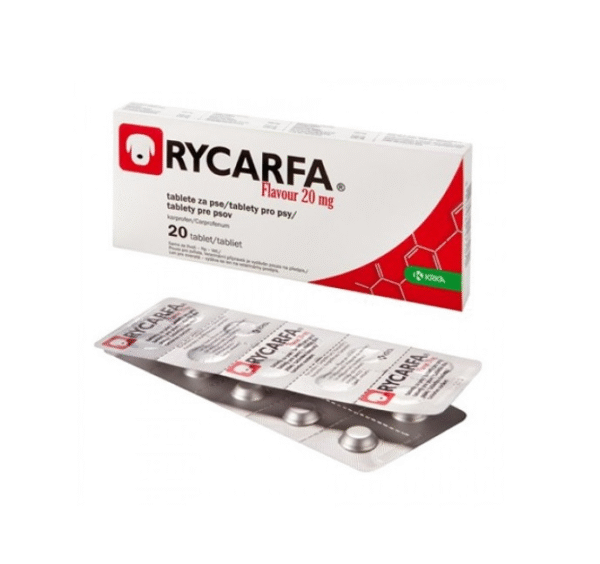 Krka Rycarfa Flavour 20 mg – 20 tableta
