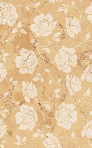 Pločica Adorea Beige Rose Toza Marković 25×40