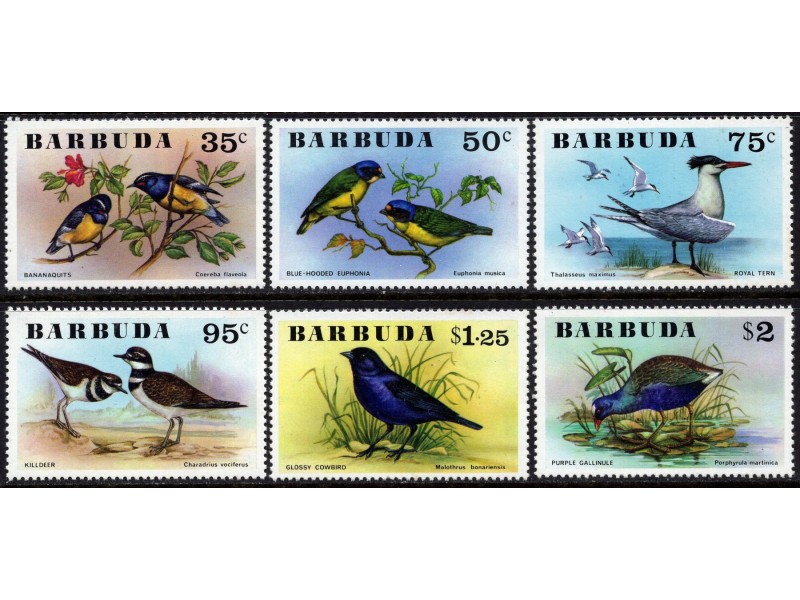 Barbuda 1976. Fauna, Ptice