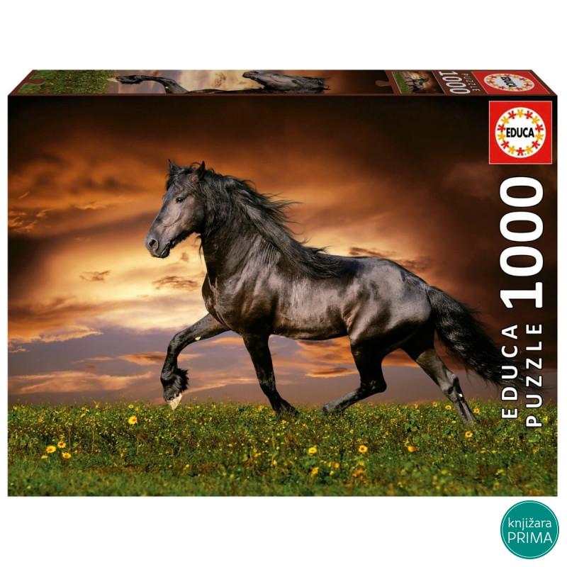 Puzzle EDUCA 1000 Konj