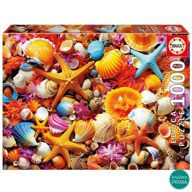 Puzzle EDUCA 1000 Školjke