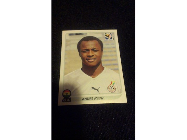 Panini FIFA 2010 J.Afrika sličica broj 330