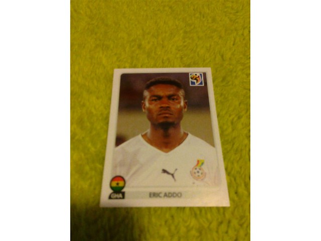 Panini FIFA 2010 J.Afrika sličica broj 320
