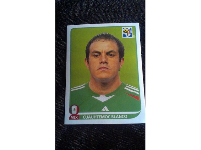 Panini FIFA 2010 J.Afrika sličica broj 063