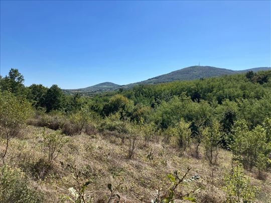 Vaše parče raja na Kosmaju! 2,5ha, Nemenikuće. Pre