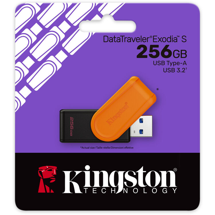 Kingston USB 256GB DTXS/256GB