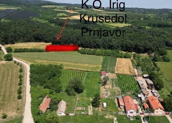 Prodajem zemljiste Krušedol-Irig