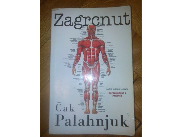 Cak Palahnjuk - Zagrcnut