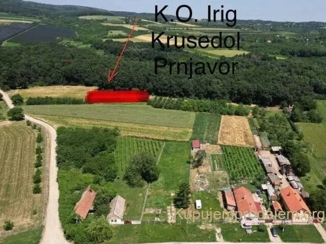 Prodajem zemljiste Krušedol-Irig