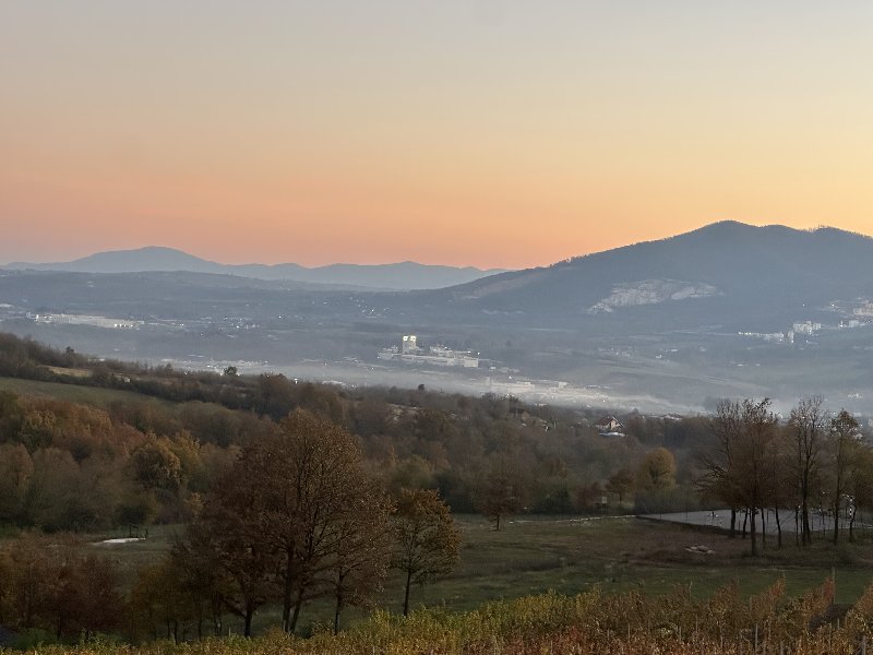 Deki iz Zürich trazi devojku