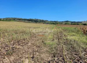 Prodaja Građevinsko zemljište - Beograd, Grocka: Boleč - Zaklopača - Ritopek
