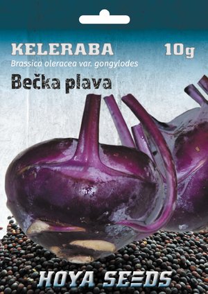 Keleraba BEČKA PLAVA