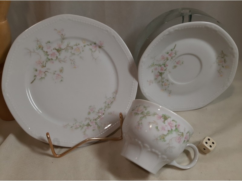 VTG MITTERTEICH BAVARIA PORCELAN SET 3DELA 1921-1931